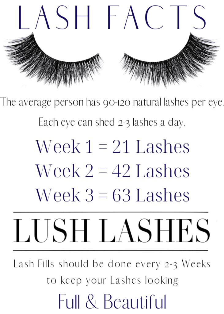 Eyelash Extension Facts - South Sound Lashes