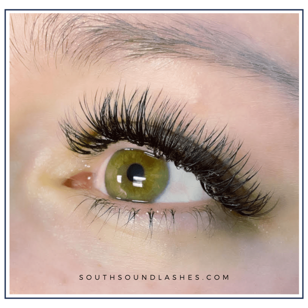 Lash Services - South Sound Lashes